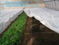 China PP Spunbond Nonwoven Fabric for Agriculture Cover 50gsm Weed Barrier Ground Cover Customizable for sale