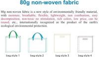 China Custom Logo Non Woven Shopping Bag 80gsm PP Promotional Carrier Bag Eco Friendly for sale