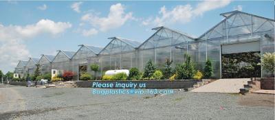 China Tunnel Green House with Insect Screen 140gsm PE Cover Galvanized Steel Frame for Crop Planting Nursery for sale