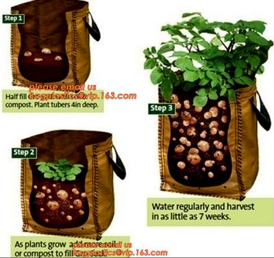China 7 Gallon Black PE Grow Bags with Handles Breathable Non-Woven Fabric Plant Pots for Hydroponic Gardening for sale