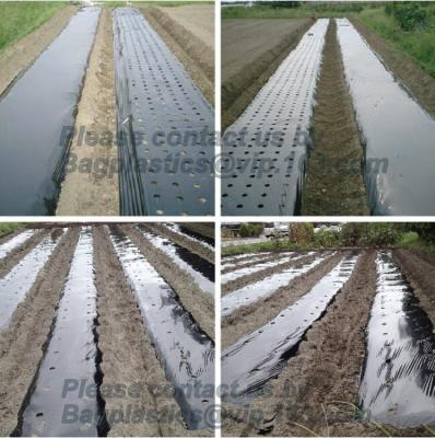 China Perforated Silver Black Mulch Film for Crop Production 1.2m x 400m Roll for sale