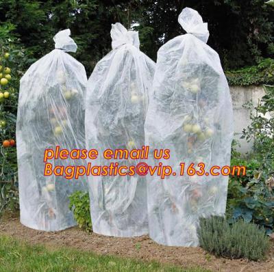 China PP Non Woven Fruit Tomato Banana Bunch Cover Garden Plant Protection Bag 34x15cm for sale