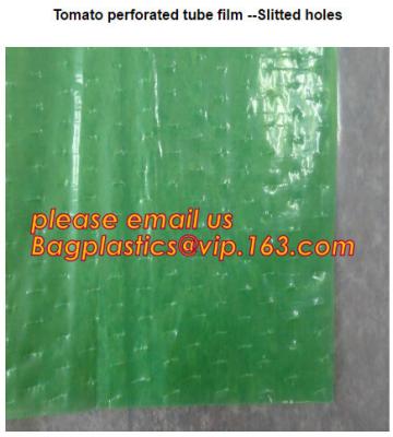 China Perforated Black Agricultural Mulch Film 1m x 200m Roll Weed Control UV Resistant Membrane for sale
