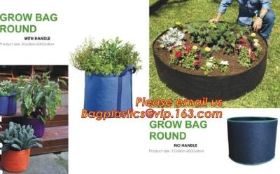 China LDPE Plastic Grow Bags 1 Gallon Reusable Nursery Planters with Drain Holes for Greenhouse for sale