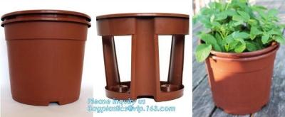 China PP Hydroponic Bato Bucket Grow Pot 1-10 Gallon for Greenhouse Drip Irrigation for sale