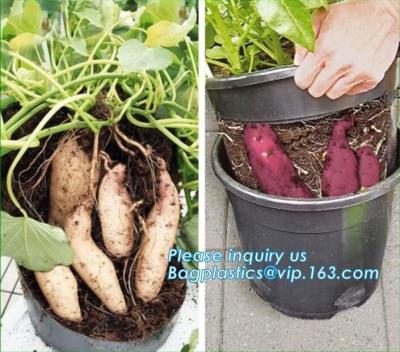China PP Vertical Planting Pot 90-210mm Seed Tray for Greenhouse Hydroponics Durable Grow Bag for sale