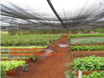 China 30 Mesh HDPE Anti Insect Net for Greenhouse 100% Virgin Material UV Treated 200m Roll for sale