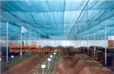 China HDPE Anti Insect Net 50 Mesh Greenhouse Insect Proof Netting 200m Roll UV Treated for sale