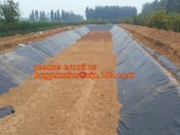 China HDPE Geomembrane Liner 1.5mm Waterproof Pond Liner for Landfill and Aquaculture for sale
