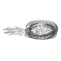 China 304 Stainless Steel Hawthorne Cocktail Strainer with Pineapple Design 8.2x16cm for sale