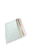 China Customized Rigid Cardboard Envelope Document Mailers for Business Shopping for sale