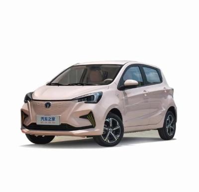 China Changan Benben E-Star Electric SUV 5 Door 5 Seater 310km Range Lithium Iron Phosphate Battery for sale