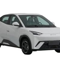 China BYD Seagull Freedom 5-Door 4-Seater Hatchback Electric Vehicle 305km Range for sale