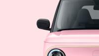China Geely Panda Mini Electric Car 20kWh Battery 200km Range 4 Door 5 Seat Sedan for sale