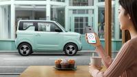 China Geely Panda Electric Mini Car 200km Range 3065mm Length 4 Door 5 Seat Pure EV for sale