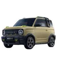 China Geely Panda Knight 2 Seats Mini Electric Car 200km Range Lithium Iron Phosphate Battery for sale