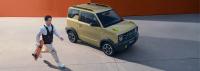 China Geely Panda Knight 2 Seats Mini Electric Car 200km Range Lithium Iron Phosphate Battery for sale