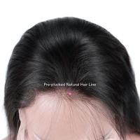 China Brazilian Full Lace Human Hair Wig Straight Medium 10