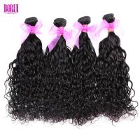 China Unprocessed Indian Human Hair , Water Wave Virgin Hair Bundles With Closure for sale