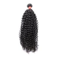 China Customized Color Human Hair Weave Kinky Curly Extension Remy Hair Weft For Black Women for sale