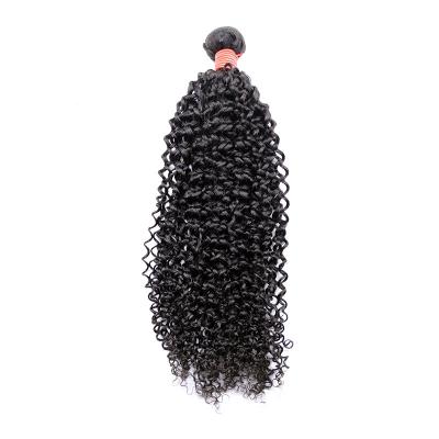 China Customized Color Human Hair Weave Kinky Curly Extension Remy Hair Weft For Black Women for sale