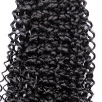 China Customized Color Human Hair Weave Kinky Curly Extension Remy Hair Weft For Black Women for sale