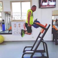 China Vertical Kness Up/Dip Steel Material Gym Trainer Equipment for Ultimate Bodybuilding for sale