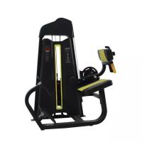 China Back Extension Machine Fitness Equipment for Gym Training and Bodybuilding Exercise for sale