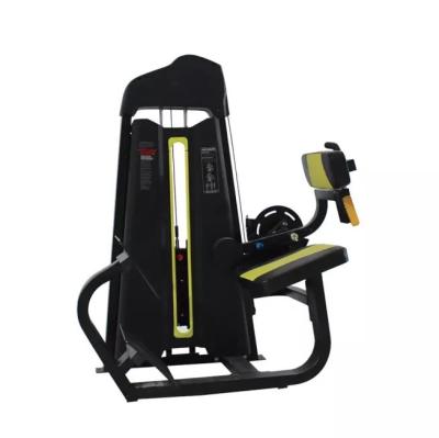 China Back Extension Machine Fitness Equipment for Gym Training and Bodybuilding Exercise for sale