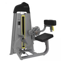 China Back Extension Machine Fitness Equipment for Gym Training and Bodybuilding Exercise for sale