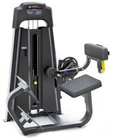 China Back Extension Machine Fitness Equipment for Gym Training and Bodybuilding Exercise for sale
