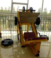 China Steel Gym Equipment Medium Loader Leg Press Machine for Indoor Fitness Body Building for sale