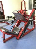 China Leg Press Gym Equipment Medium Loader Steel for Indoor Fitness Body Building Exercise for sale