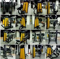 China Fitness Bodybuilding Exercise Steel Seated Tricep-Flat Machine with Training Pin Load for sale