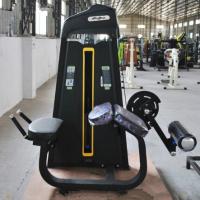 China Universal Steel Seated Prone Leg Curl Gym Training Equipment for Bodybuilding Fitness for sale
