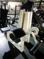 China Universal Steel Seated Prone Leg Curl Gym Training Equipment for Bodybuilding Fitness for sale