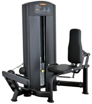 China Home Commerical Exercise Adjustable Fitness Equipment for Calf Press and Leg Extensions for sale