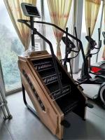 China Universal Gym Equipment Our Commercial Power Step Machine for Cardio Training for sale