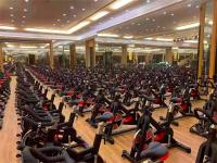 China 18kg Flywheel Gym Equipment for Commercial Cardio Training and Body Strengthening for sale