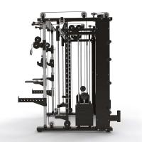 China Strength Training Sport Commercial Fitness Gym Equipment with Customized Logo Availabled for sale