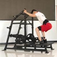 China Commercial Gym Equipment Plate Loaded Belt Squat Attachment for Multi Function Strength for sale