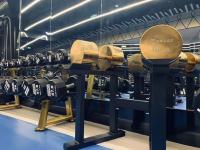 China Experience the Power of Our Chrome Dumbbells for Strength Training 2.5kg-100kg for sale