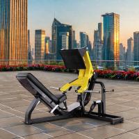 China Leg Press Hack Squat Strength Training Plate Loaded Machine 1120*1710*1170mm Dimensions for sale