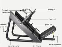 China Leg Press Trainer for Strength Training Gym Fitness 45 Degree Weight Plate Loaded for sale