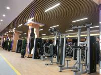 China Multi-Function Smith and Squat Rack for Gym Exercise with Adjustable Weight Selection for sale