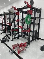 China Multi-Function Smith and Squat Rack for Gym Exercise with Adjustable Weight Selection for sale