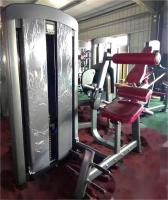 China Direct Seated Back Extension Trainer for Muscle Strength Training Pin Load Selection for sale
