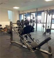 China Maximize Leg Training Befreeman 45 degrees seated Leg Press Machine for Stronger Legs for sale