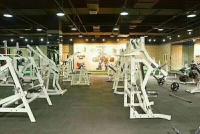 China Plate Loaded Fitness Equipment ISO-LATERAL Shoulder Press for Maximum Muscle Activation for sale