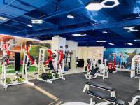 China Plate Loaded Fitness Equipment ISO-LATERAL Shoulder Press for Maximum Muscle Activation for sale